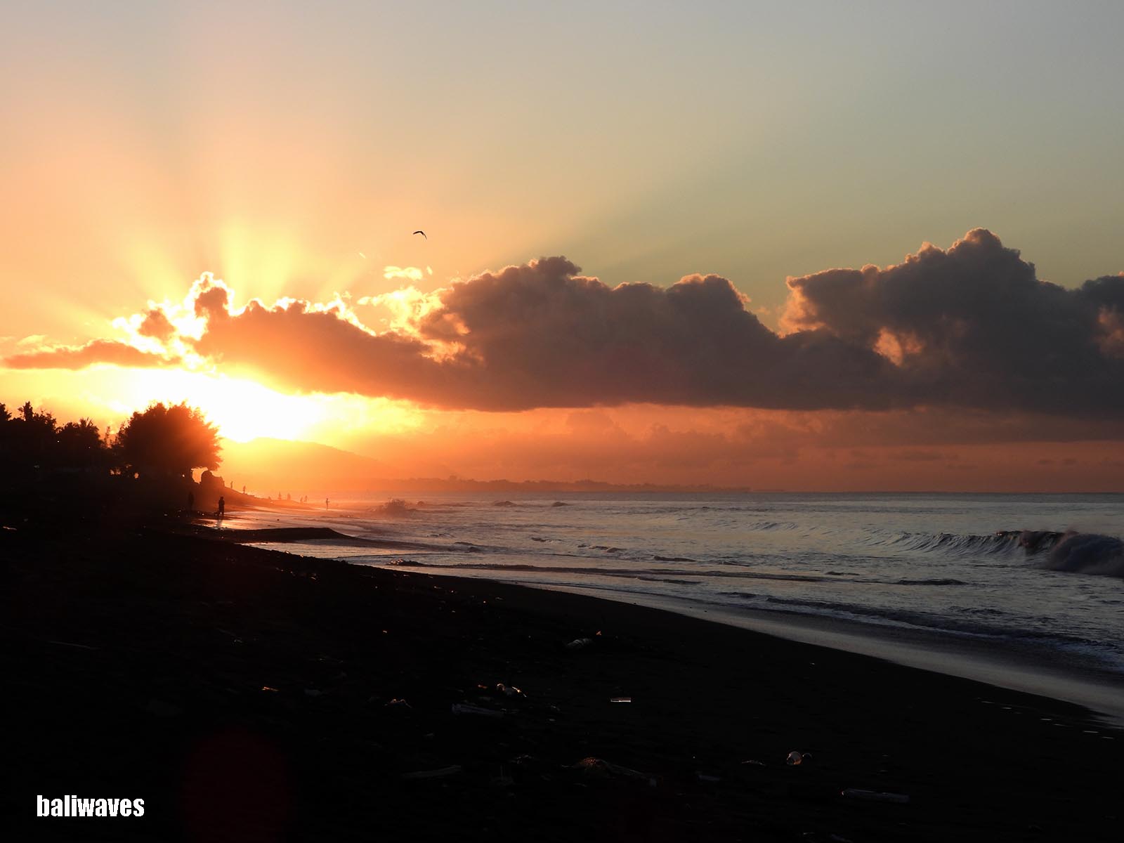 Bali Surf Report - Indonesia | Baliwaves